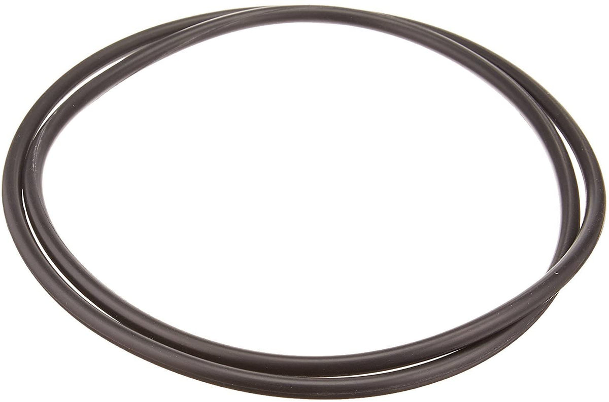Hayward Body O-Ring - CCX1000G – PoolSpaMart